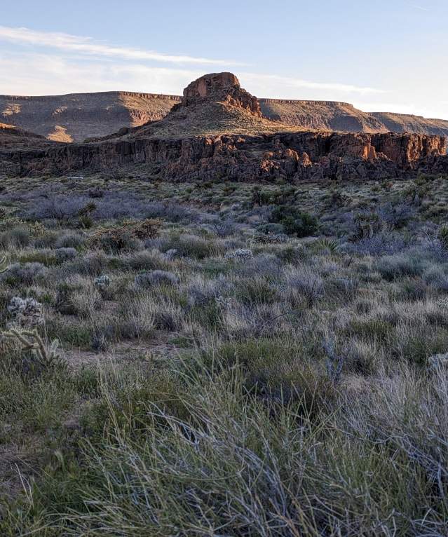 California Desert Region