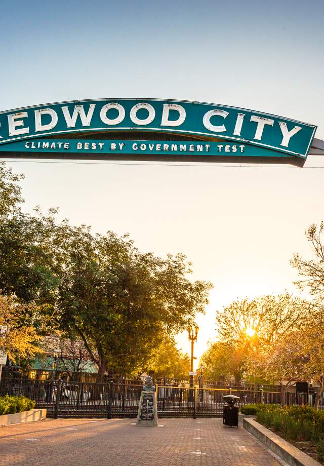 world's biggest forehead world record