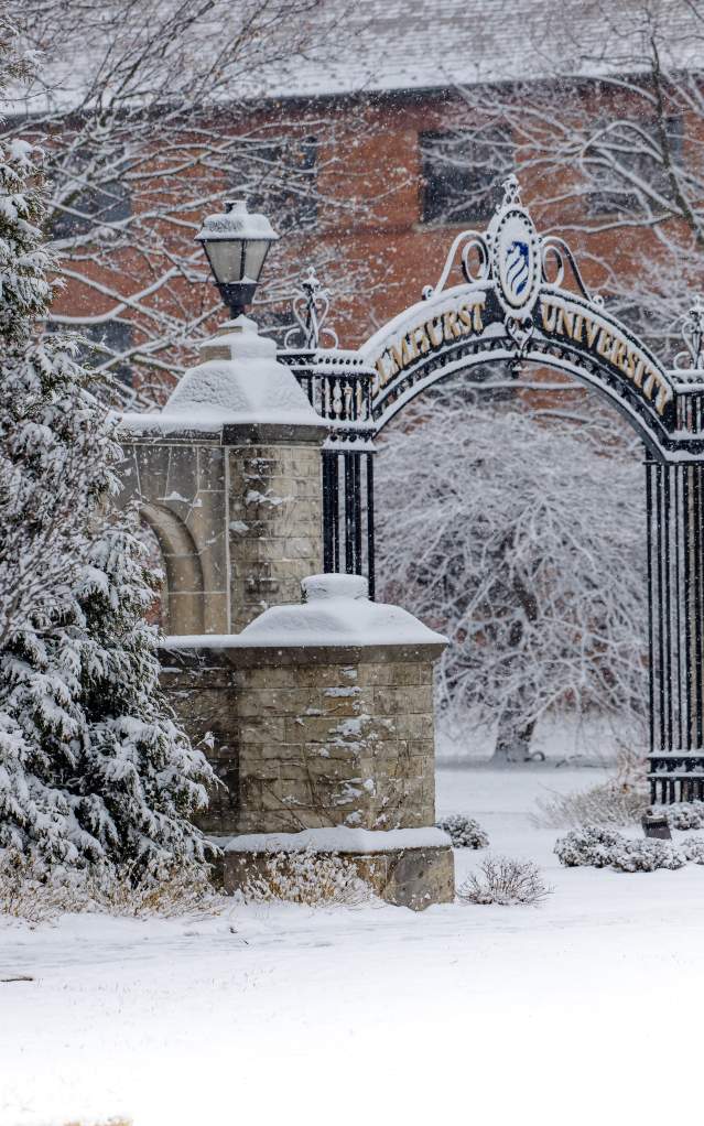 Explore Elmhurst, IL | Official Website