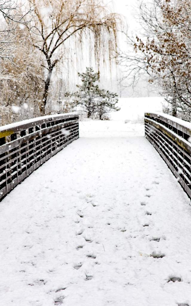 Explore Elmhurst, IL | Official Website