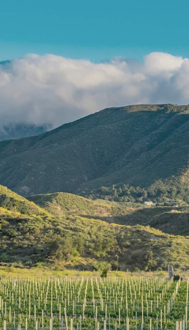 Local Weather Patterns For Temecula, CA | Visit Temecula Valley