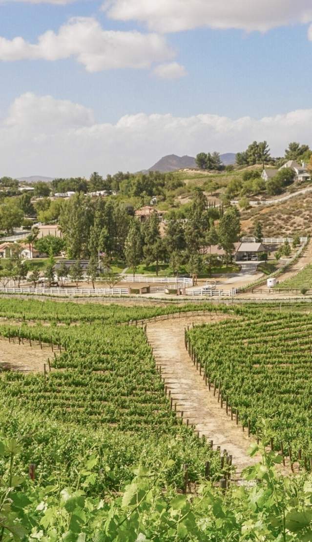Temecula Valley Map | Visit Temecula Valley