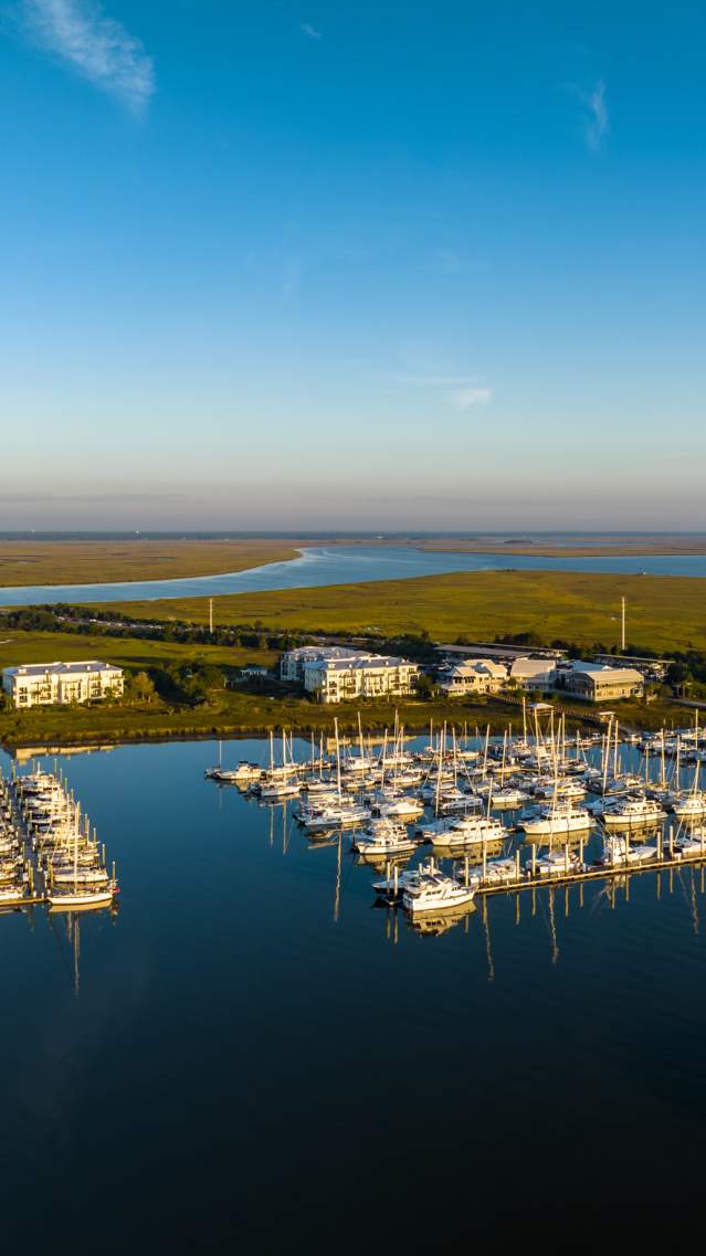 Transportation Services | Golden Isles, Georgia