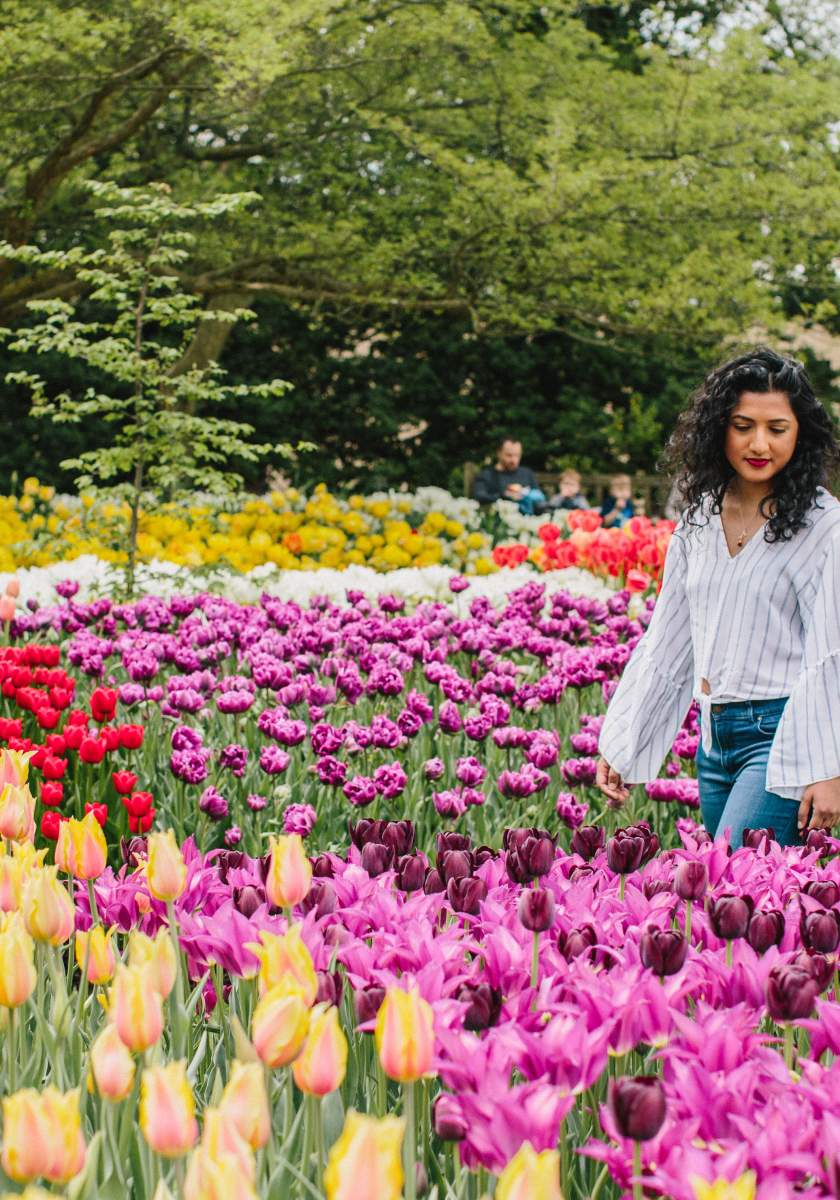 spring term festivals