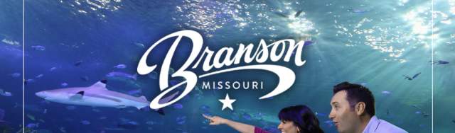 bransonchambernewsjanuary