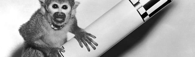 able first monkey in space