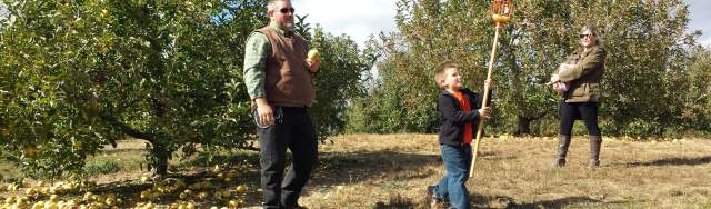 fall orchard activities