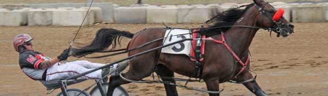 harness racing