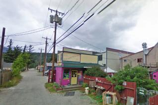 Back Alley Rock Shop