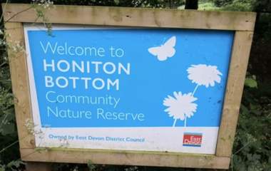Great walking routes in Honiton