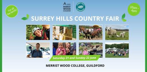 Find Festivals, fairs and fetes in Surrey | Visit Surrey