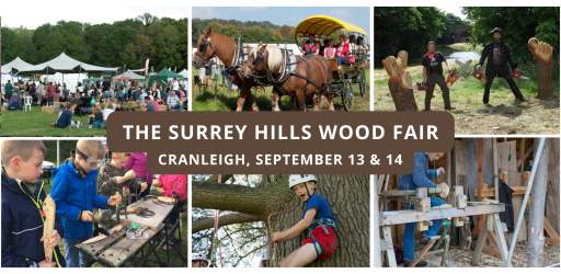 Find Festivals, fairs and fetes in Surrey | Visit Surrey