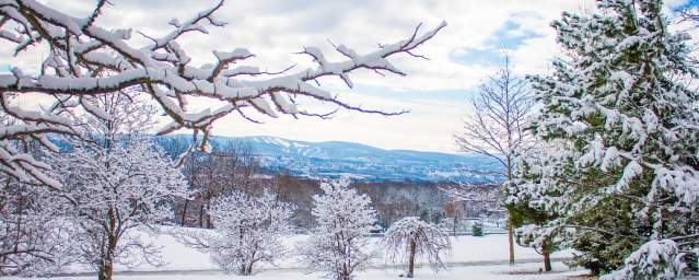Things to Do in Scranton During Winter | Ice Festival & Skiing