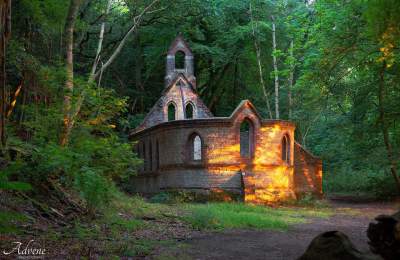 Hidden Gems of West Sussex