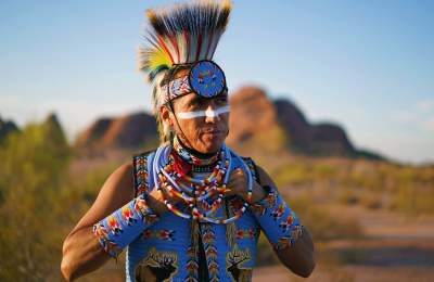 native american phoenix bird