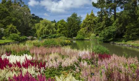 Things To Do in Devon