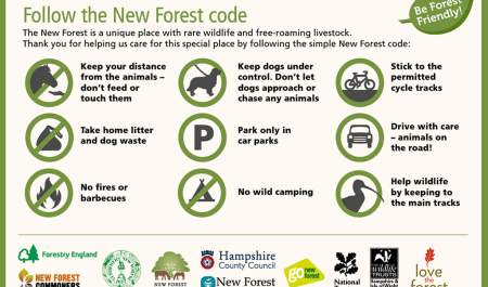 New Forest Visitor Tourist Information