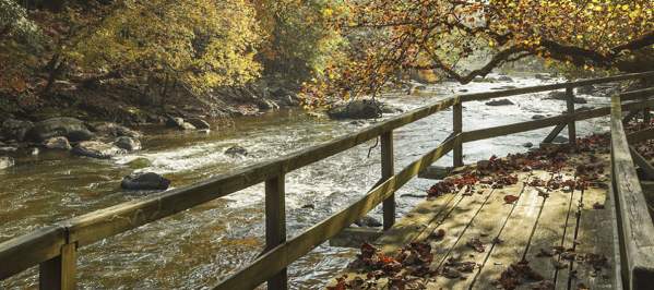 Things to Do in Delaware | Visit Delaware