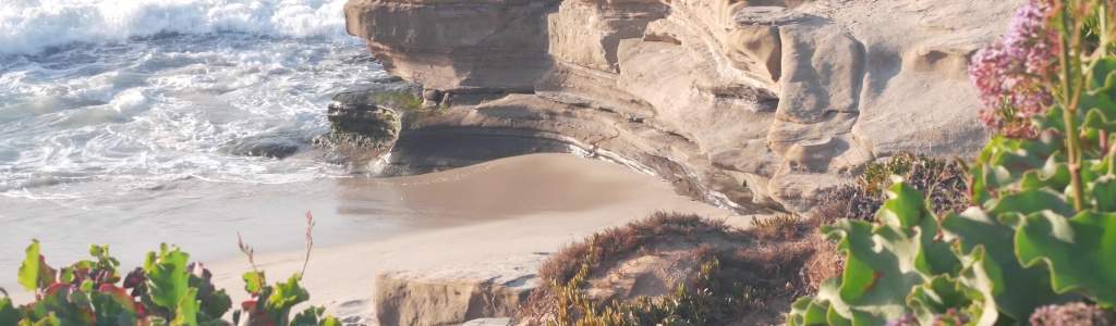 leopard shark attack 1955
