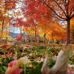 boulder co fall events
