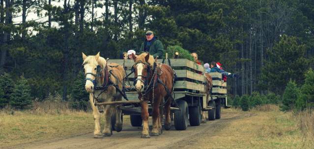 Holidays in Rockford IL