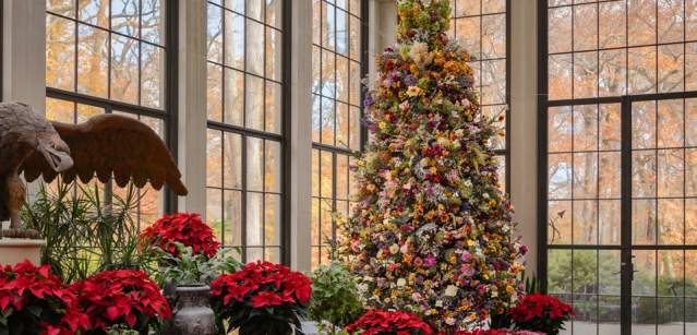 Winter Festivals and Events | Visit Delaware