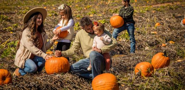 Rowan County Pick-Your-Own Farms | Farmers Markets
