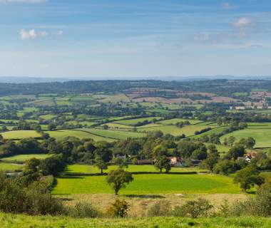 Summer Events in Honiton