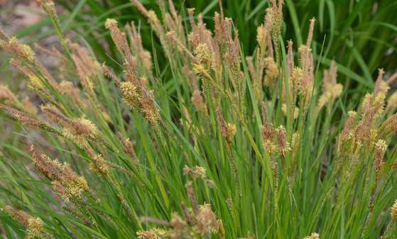 Northern Delaware | Visit Delaware