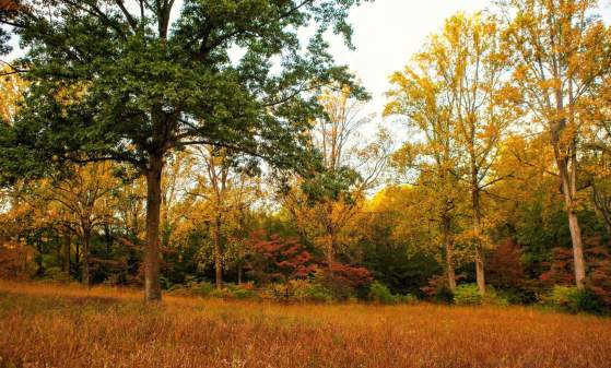 Northern Delaware | Visit Delaware