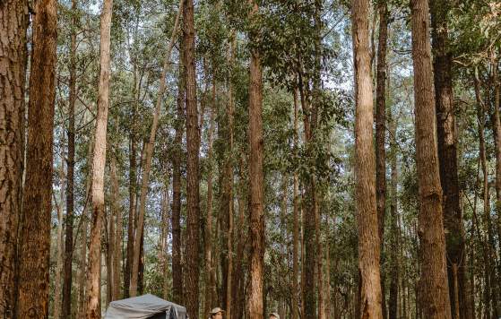 Caravan & Camping in Perth & Surrounds | Destination Perth