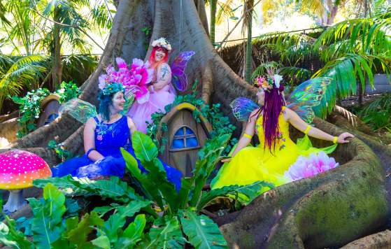What's on in Perth Today/This Weekend: Events & Activities