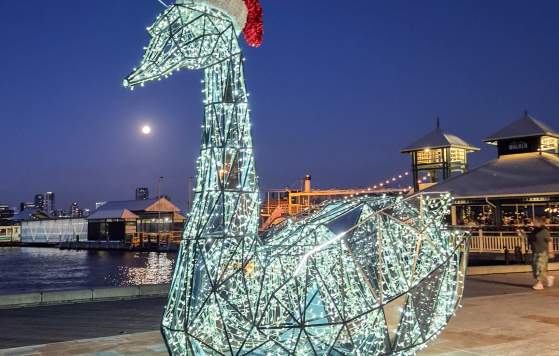 Christmas in Perth 2025: Events, Lights, Festivals & More!