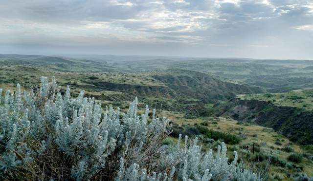 Southwest Kansas Scenery Southwest Kansas Land With A Creek For Sale