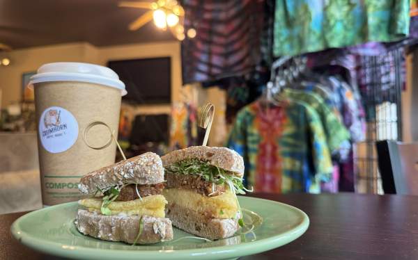 Oneonta Adventures: Butterflies, BBQ, Baseball, and Beyond