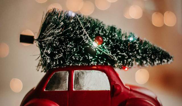 Volunteers and Vendors