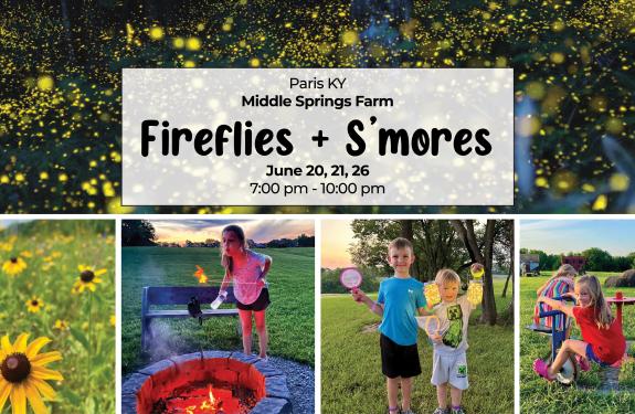 Fireflies & S'mores