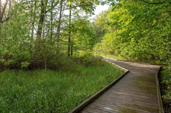 Draper-Houston Meadows Preserve