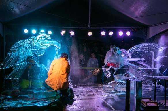 Freezefest 2025 | Annual Bloomington Winter Festival