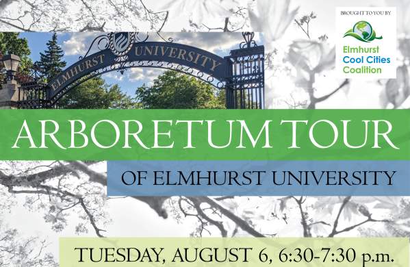 Explore Elmhurst, IL | Official Website