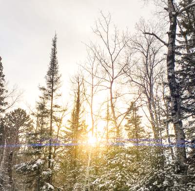 Dogsled, Snowmobile, Ski, Icefish & Snowshoe in Ely, MN