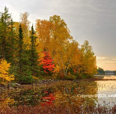 Ely, MN - Harvest Moon Festival