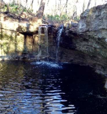 Florida Waterfalls Map 10 Best Florida Waterfalls You Won't Believe