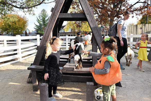 Fall in Greater Lafayette