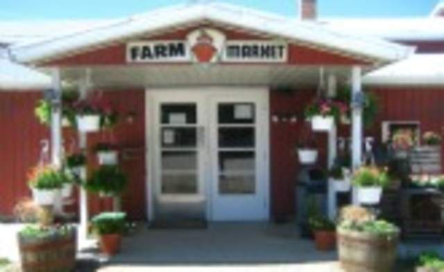 Moreland Fruit Farm & Farm Market