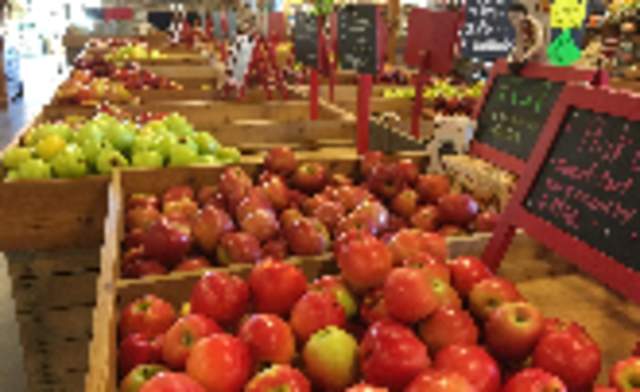 Rittman Orchards and Farm Market