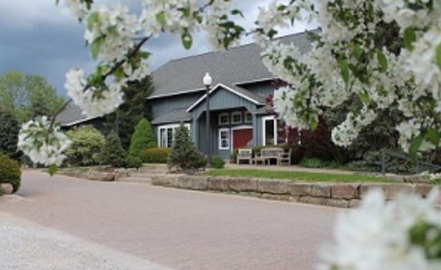 pine tree close barnton