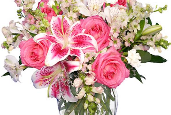 Flowers Morehead City Nc | Best Flower Site