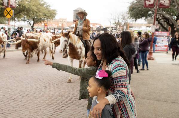 Scotty Scott: Cooking up Plates