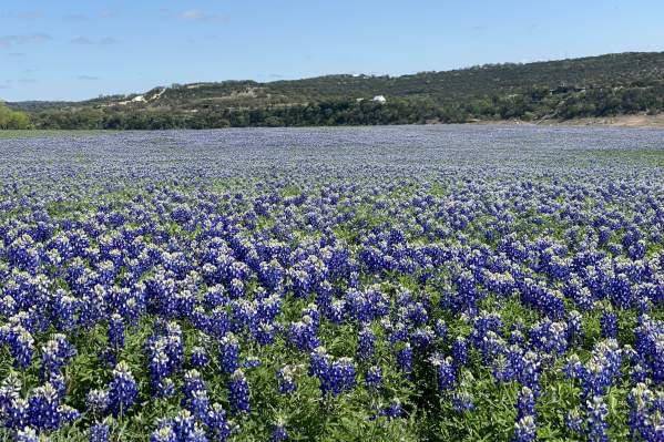 Muleshoe Bend Recreation Area